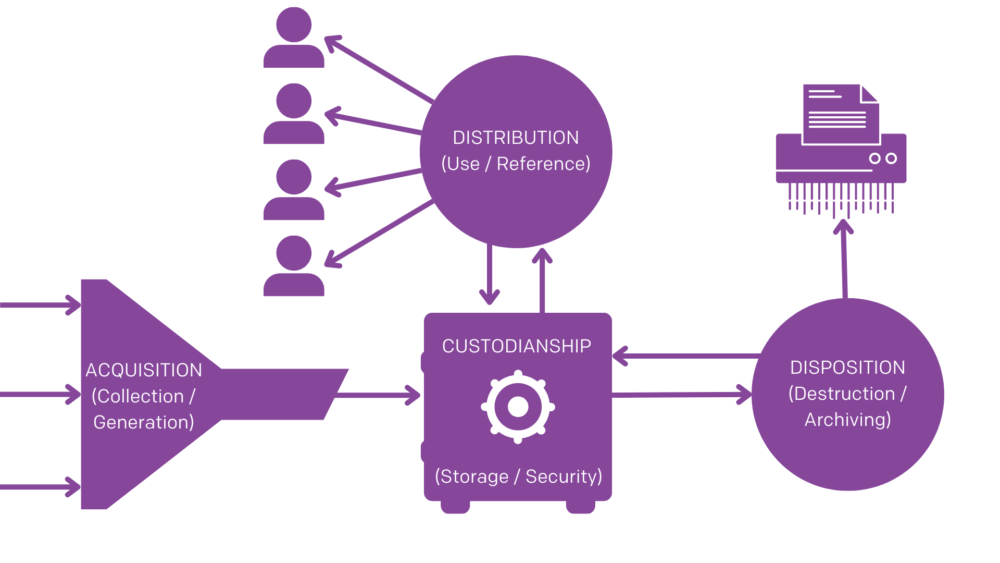 An Intro to Information Management